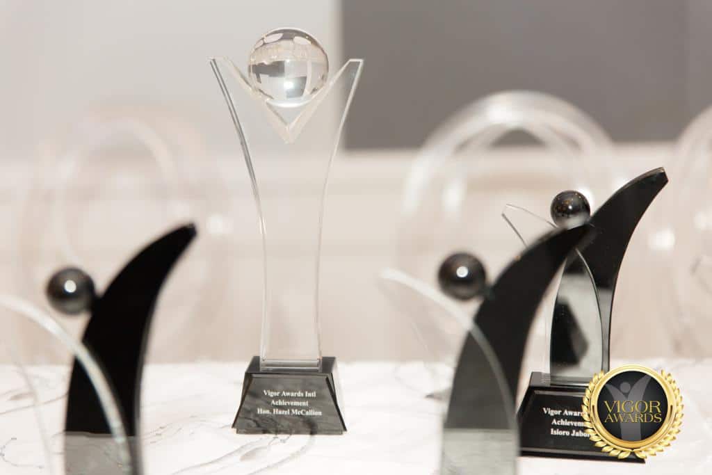 Humanitarian Award | Vigor Unsung Heroes Awards International